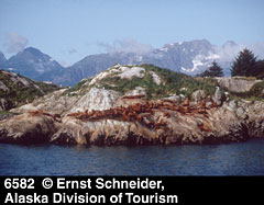 Gustavus - SeaTrails